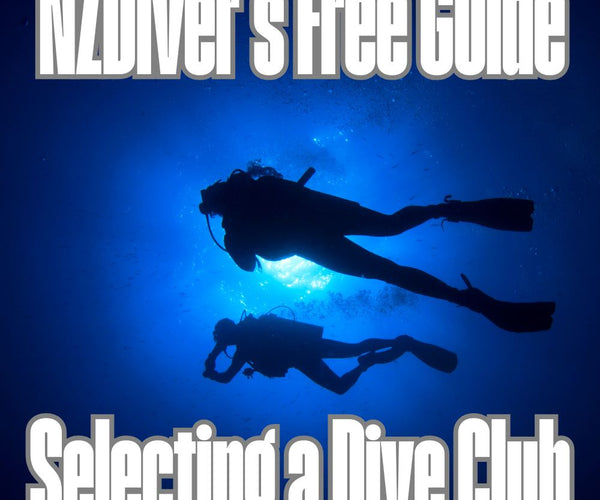 NZ Dive Clubs: A Free Guide & Directory | NZ Diver – NZ Diver